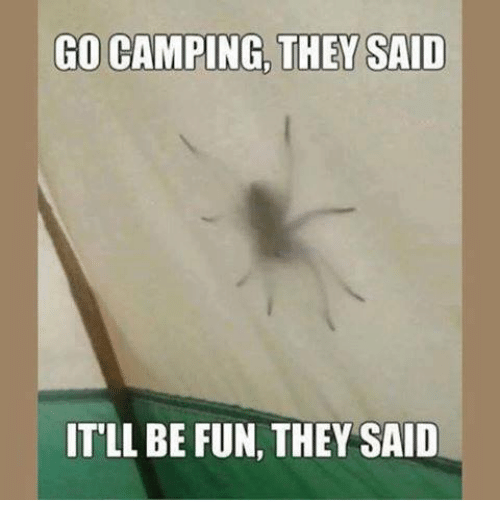 4 Tips to Keep Camping Healthy & Safe